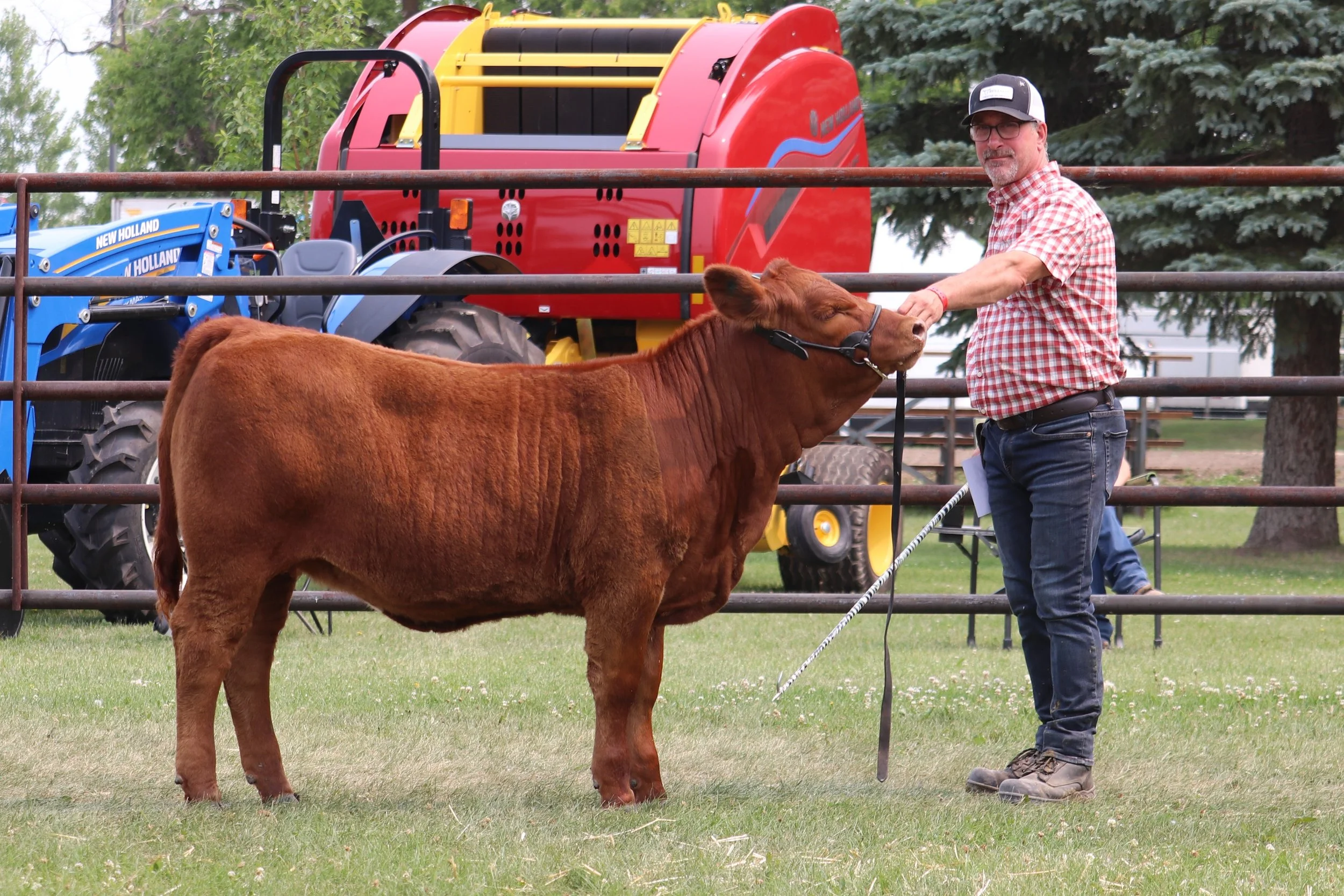 Manitoba Simmental Association