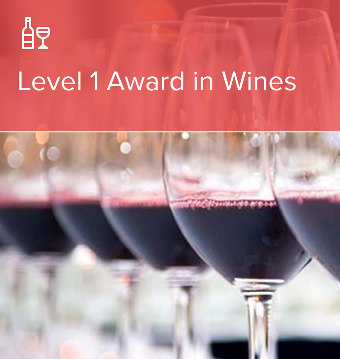 WSET Wine Courses Vancouver | This is Wine School
