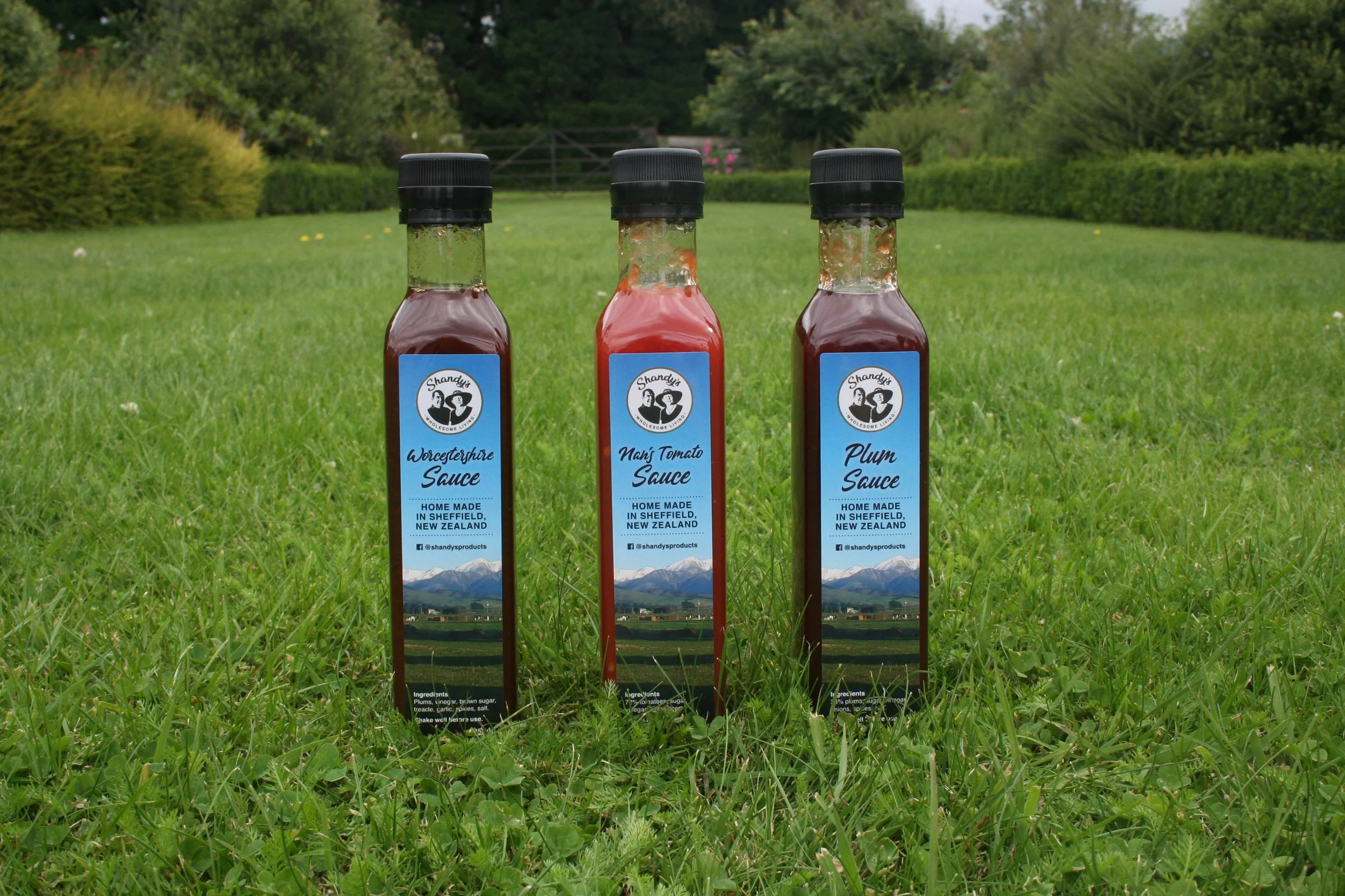 Shandy's Products — Shandy's Products