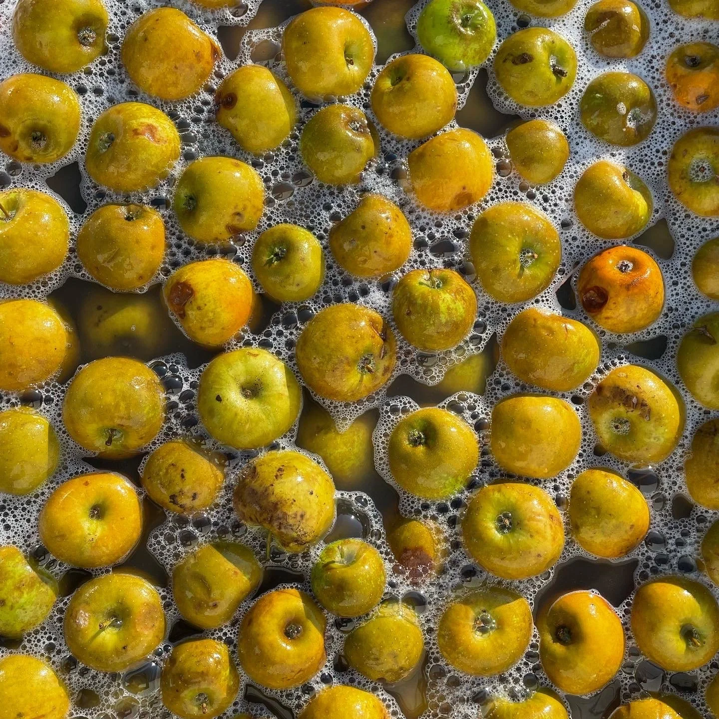 Long View Ciderhouse