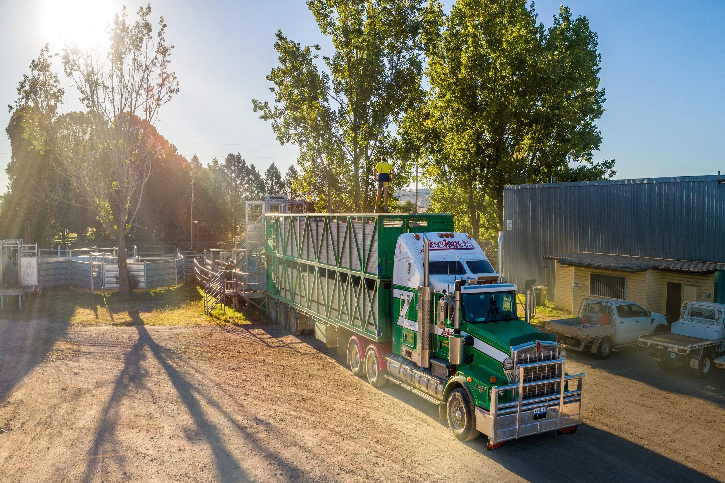 Newsletter — Colin Say & Company Pty Ltd