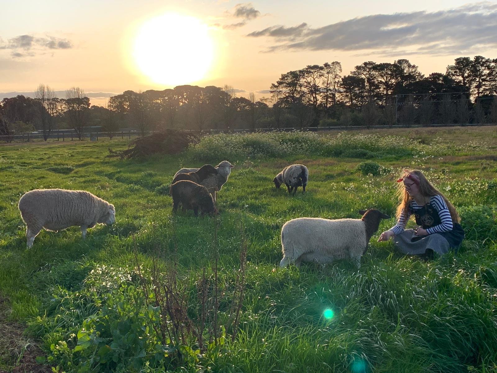 GALLERY — Benton Rise Farm