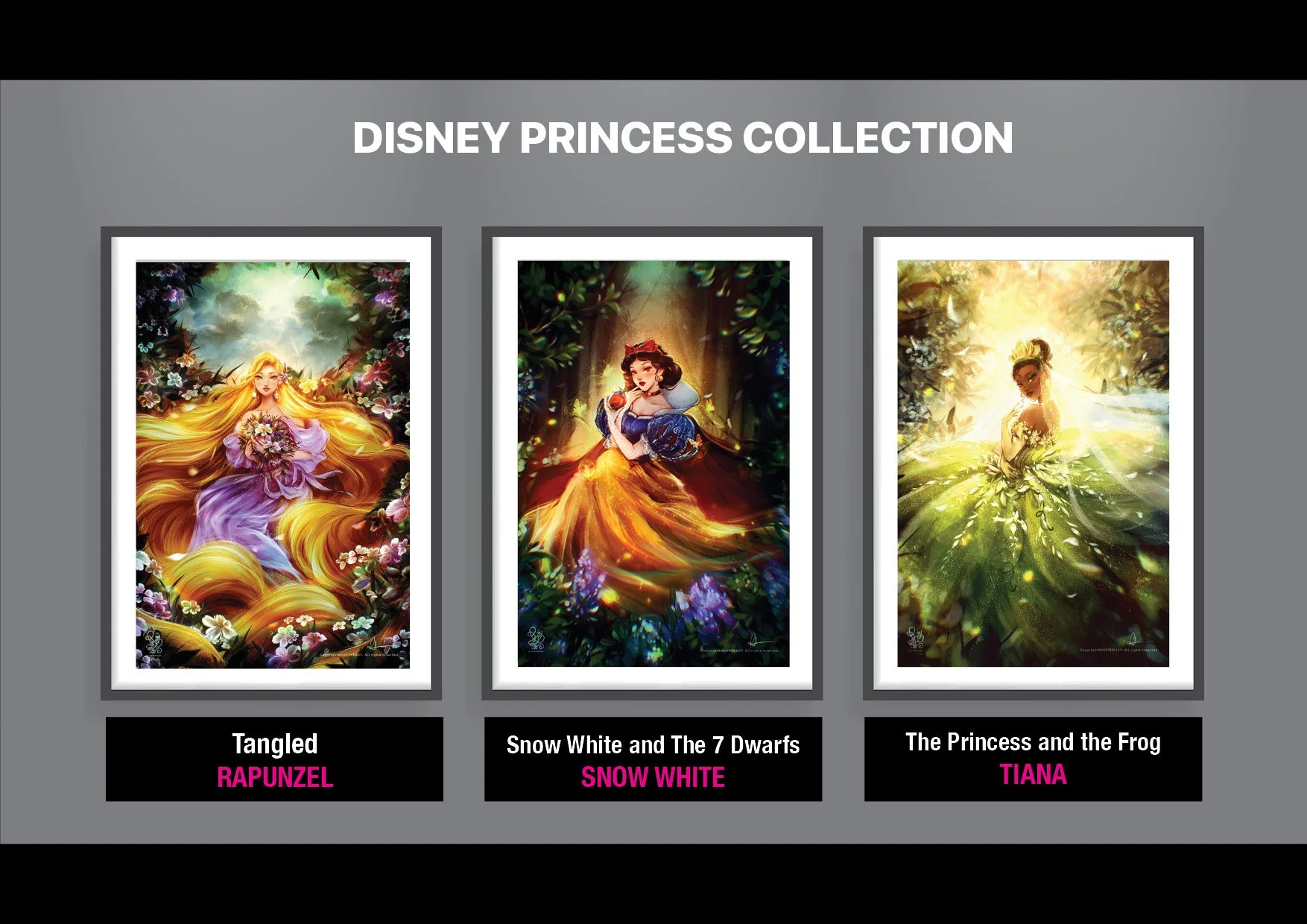 Discover Enchanting Adventures with Disney Princesses Vol 1 Collection ...