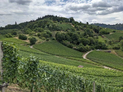 Exploring Gengenbach (2024): A Gateway to Germany's Black Forest and ...