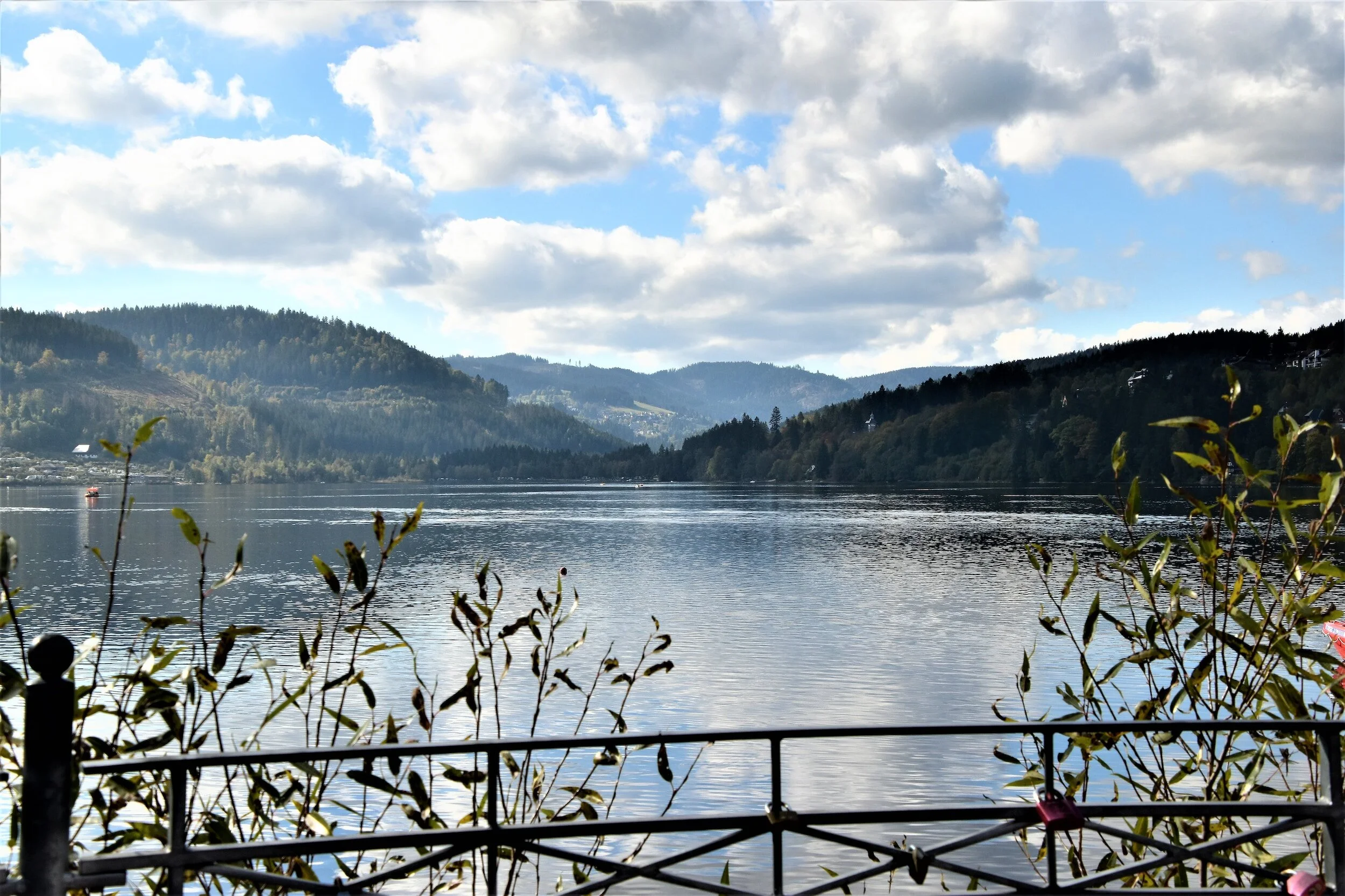Titisee, Germany (2023): An Enchanting Lake-Town Experience in the ...