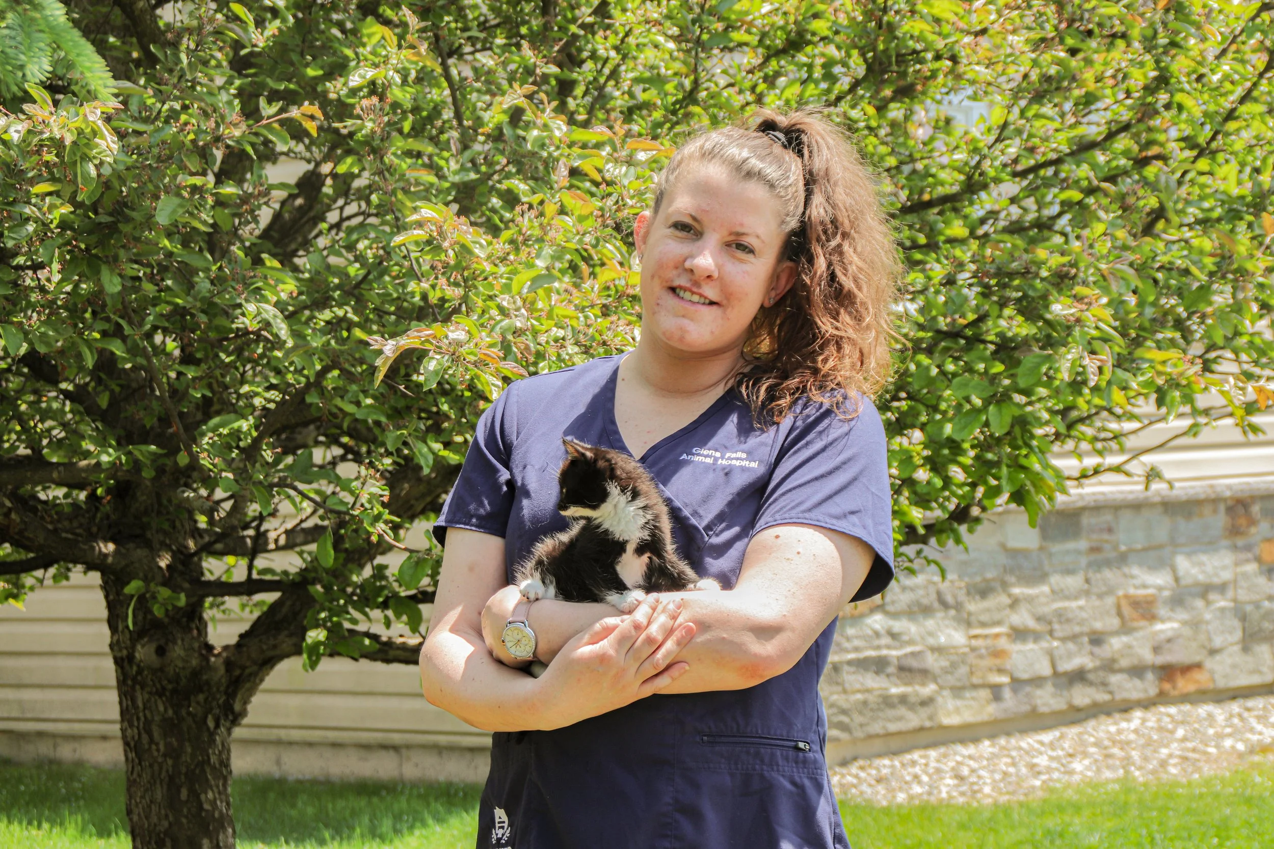 About Us — Glens Falls Animal Hospital