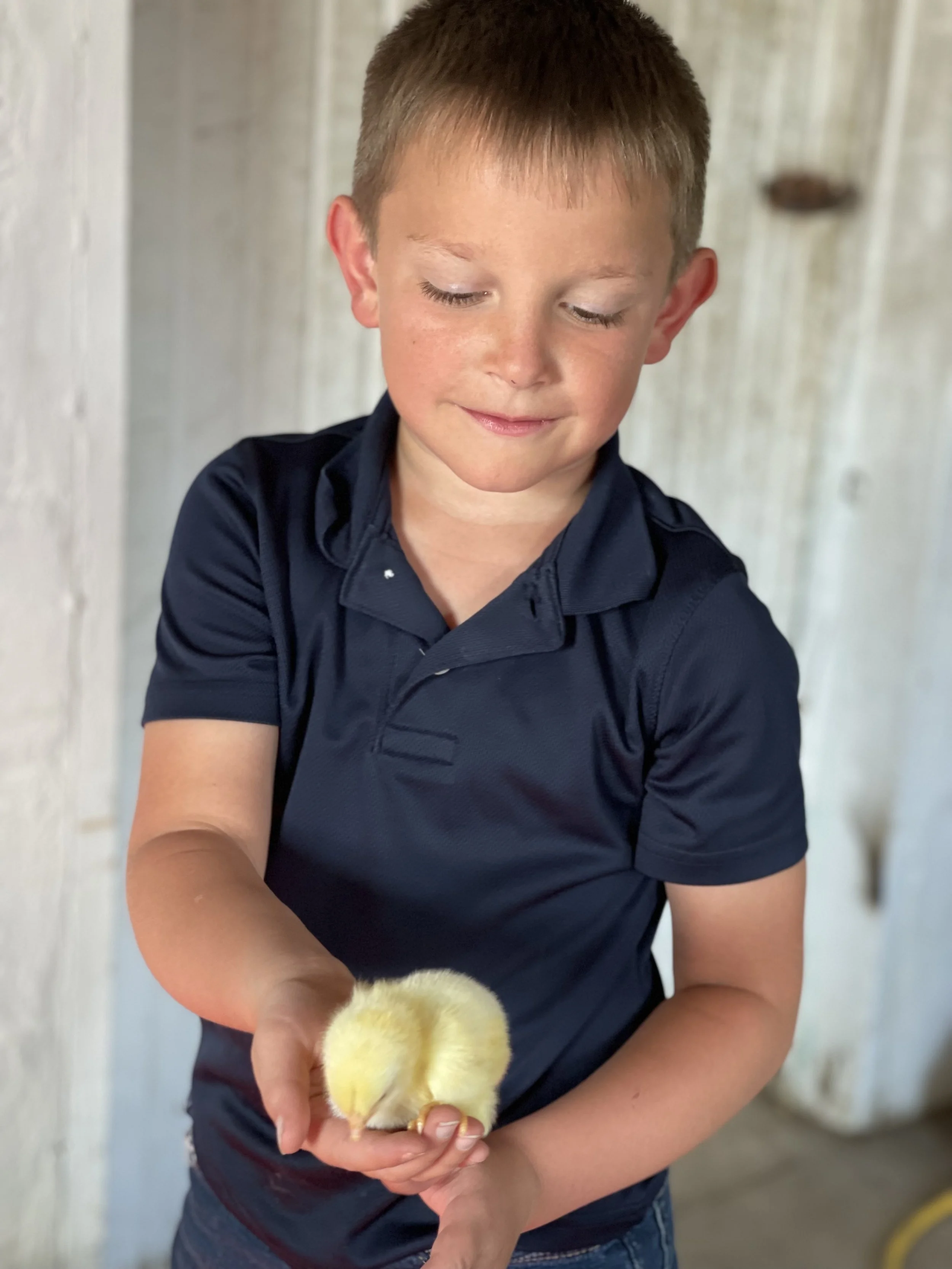 About — Yoder-way Farm