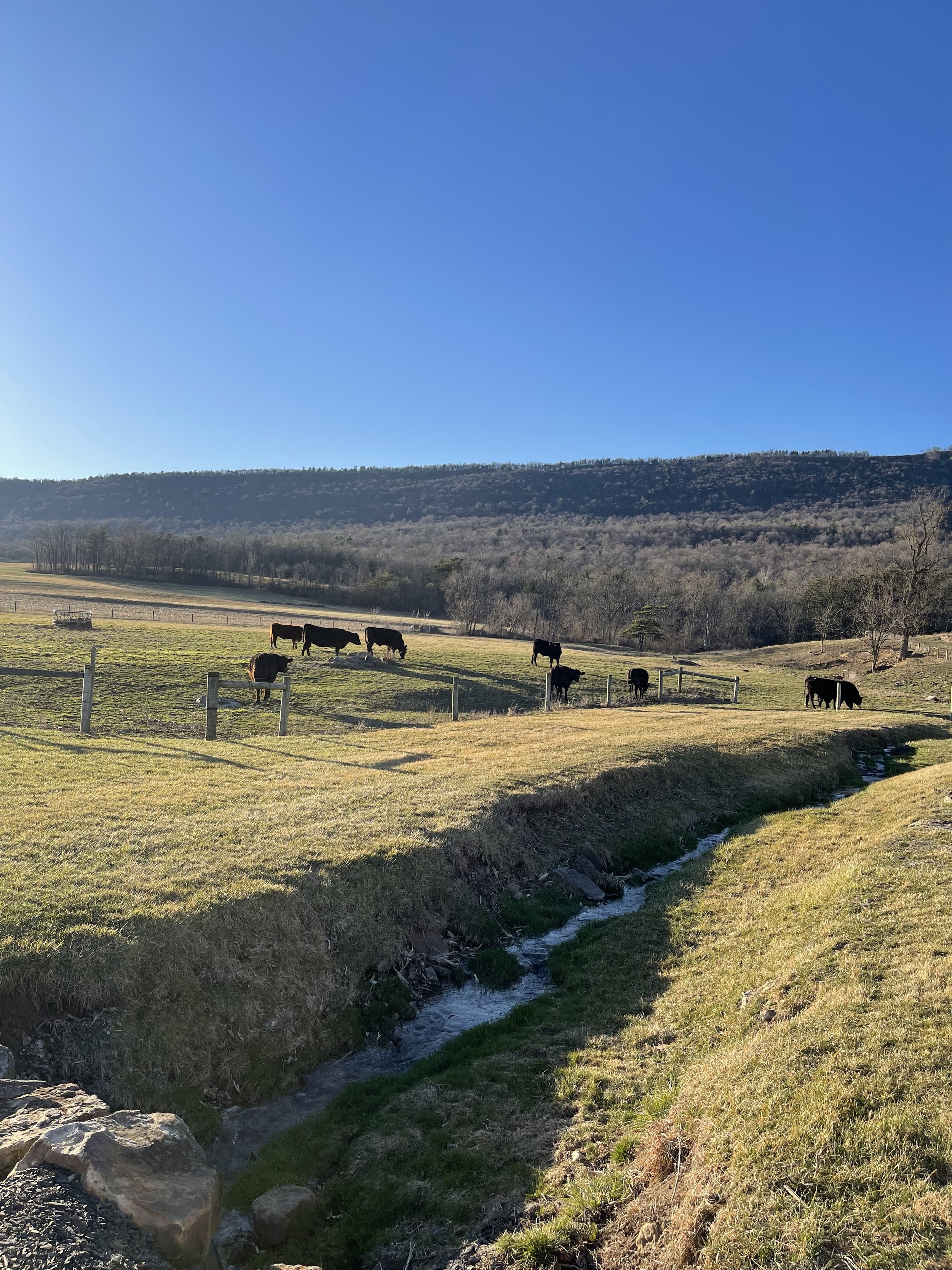 About — Yoder-way Farm