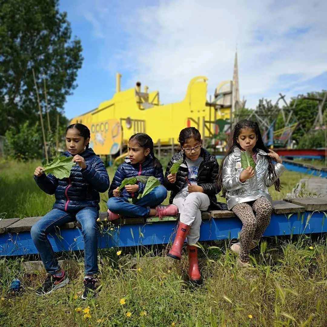 Slade Gardens Adventure Playground | Projects — Urban Growth