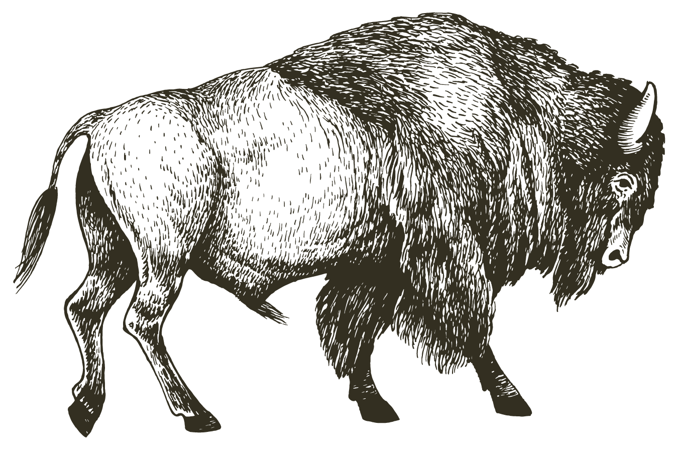 Bison Construction Services