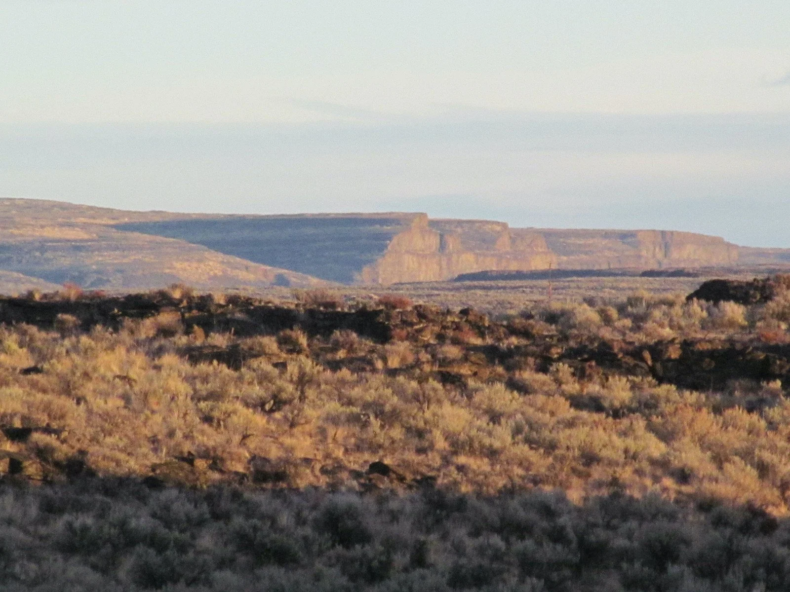 Contact 2 — Rimrock Rattler