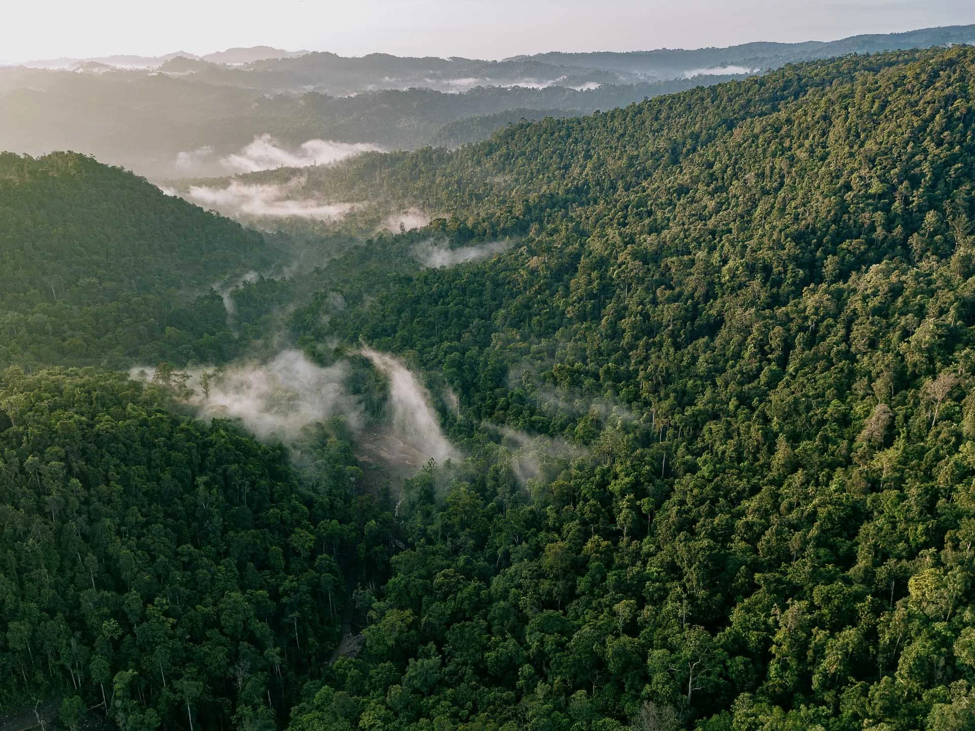 [Commissions] Merdeka Battery Materials — Hafitz Maulana