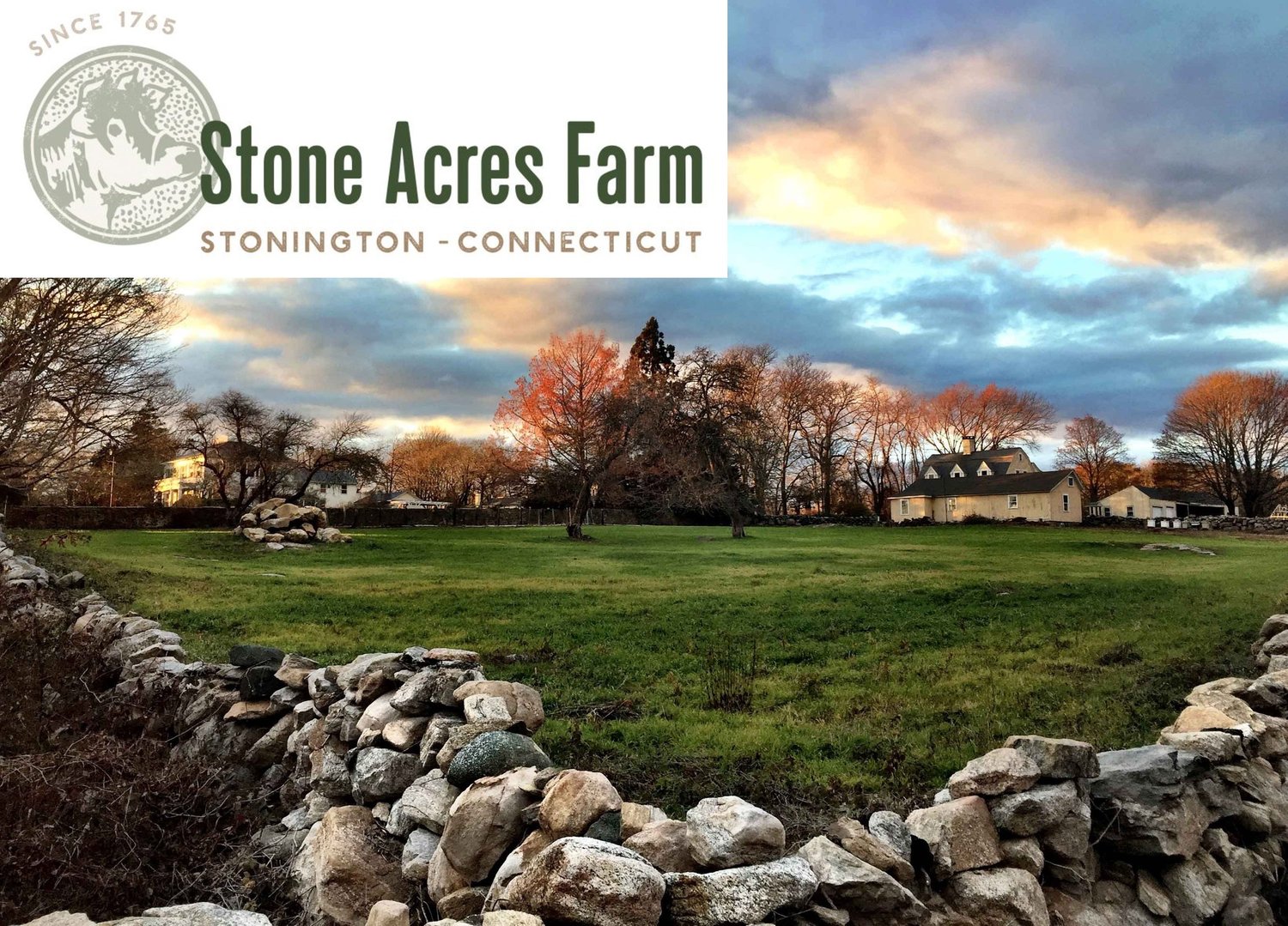 STONE ACRES FARM — STONINGTON FRESH