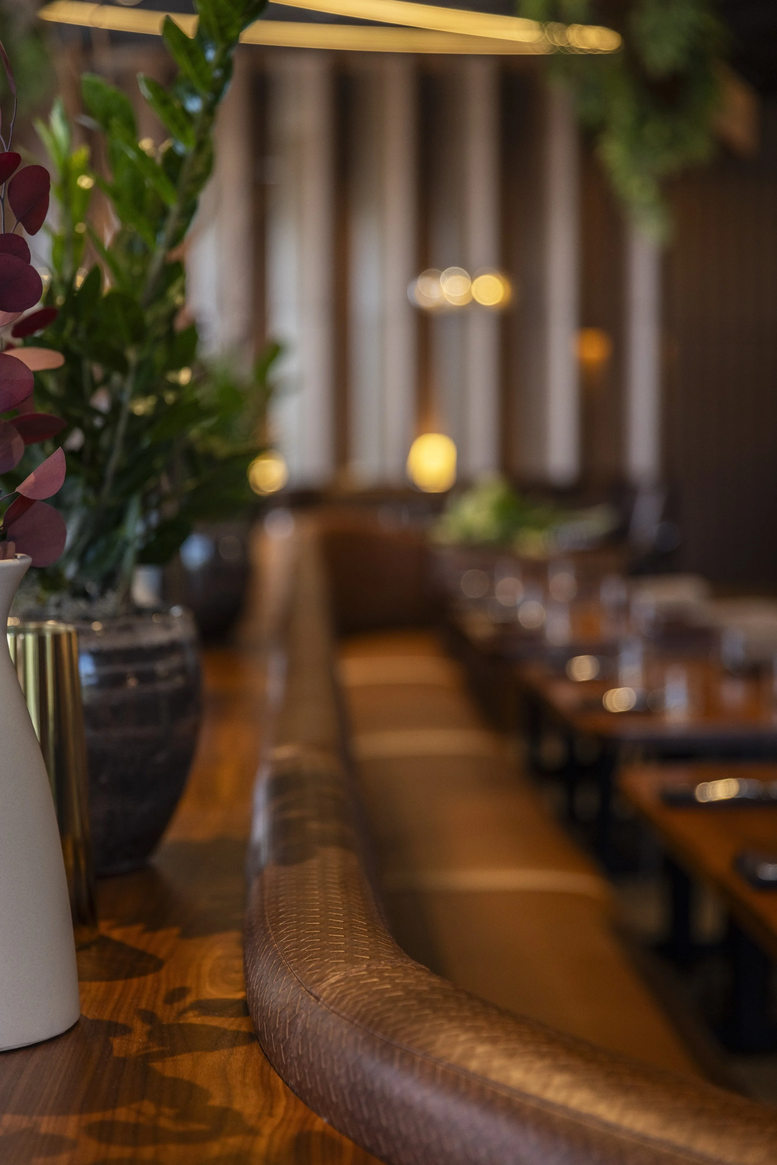 Alara - A Modern Fine Dining Restaurant In Cincinnati