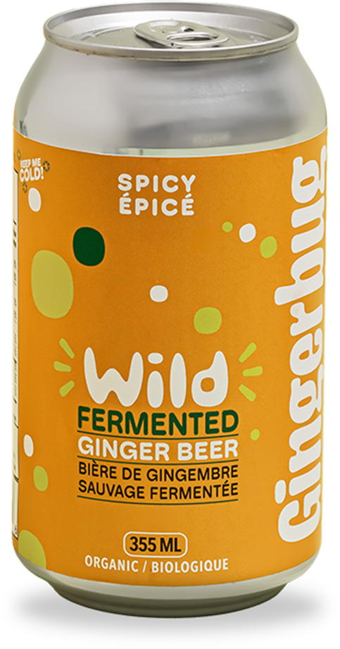 Gingerbug - Wild fermented ginger beer!