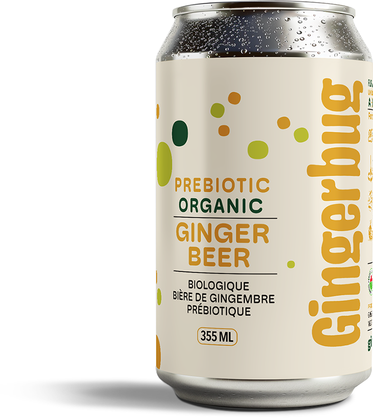 Gingerbug® – Prebiotic Ginger Soda Made with Real Ginger Juice