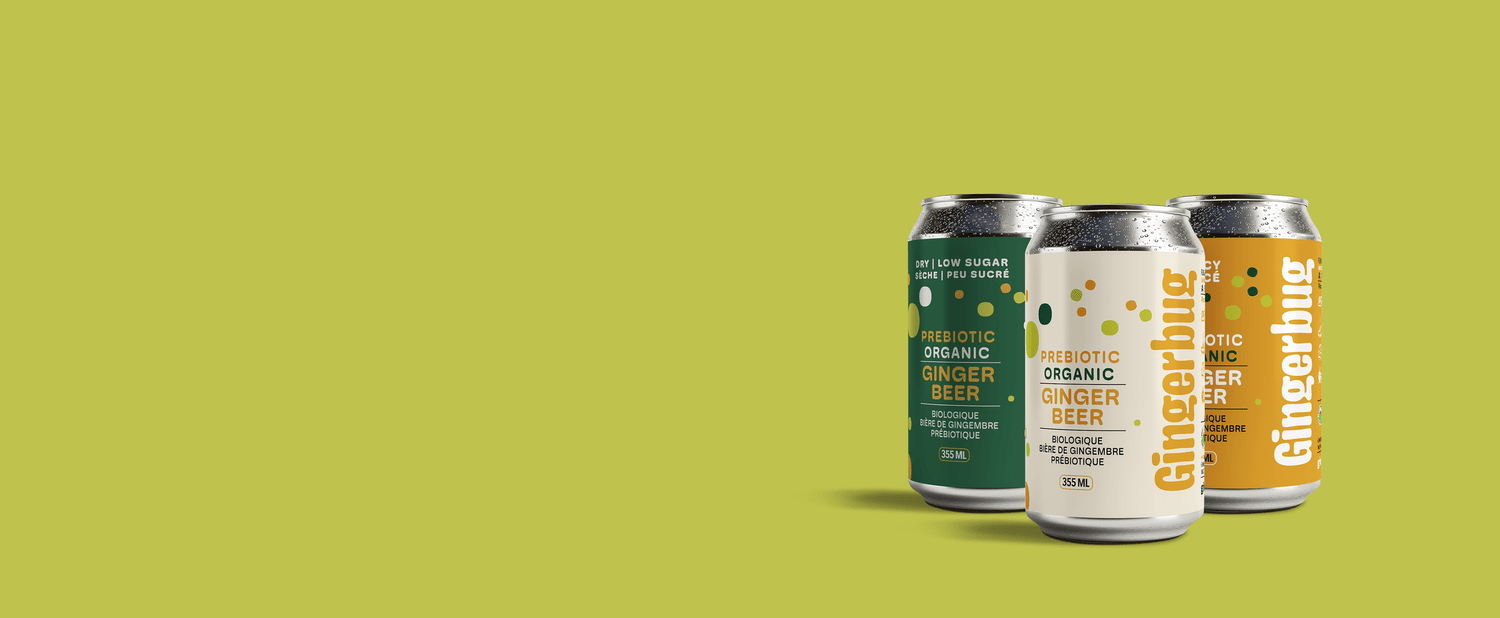 Gingerbug® – Prebiotic Ginger Soda Made with Real Ginger Juice