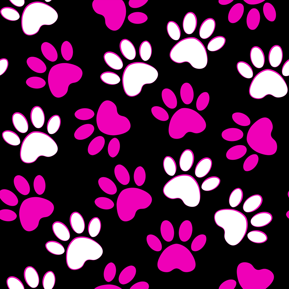 Contact — Grace Vet Services