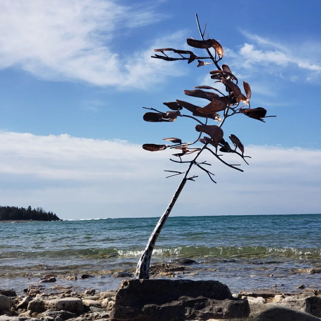 Richard Sturgeon | Smoke Lake, Algonquin Park — Benz Gallery