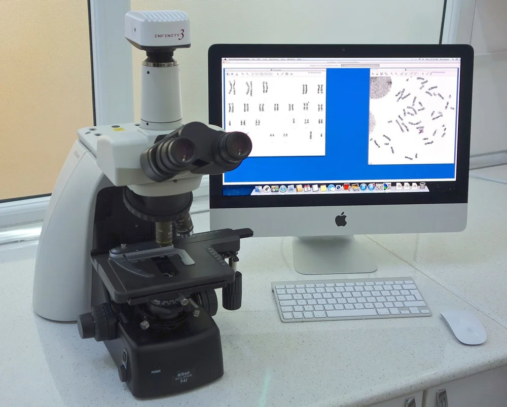 SmartType | Discover Karyotyping Ease