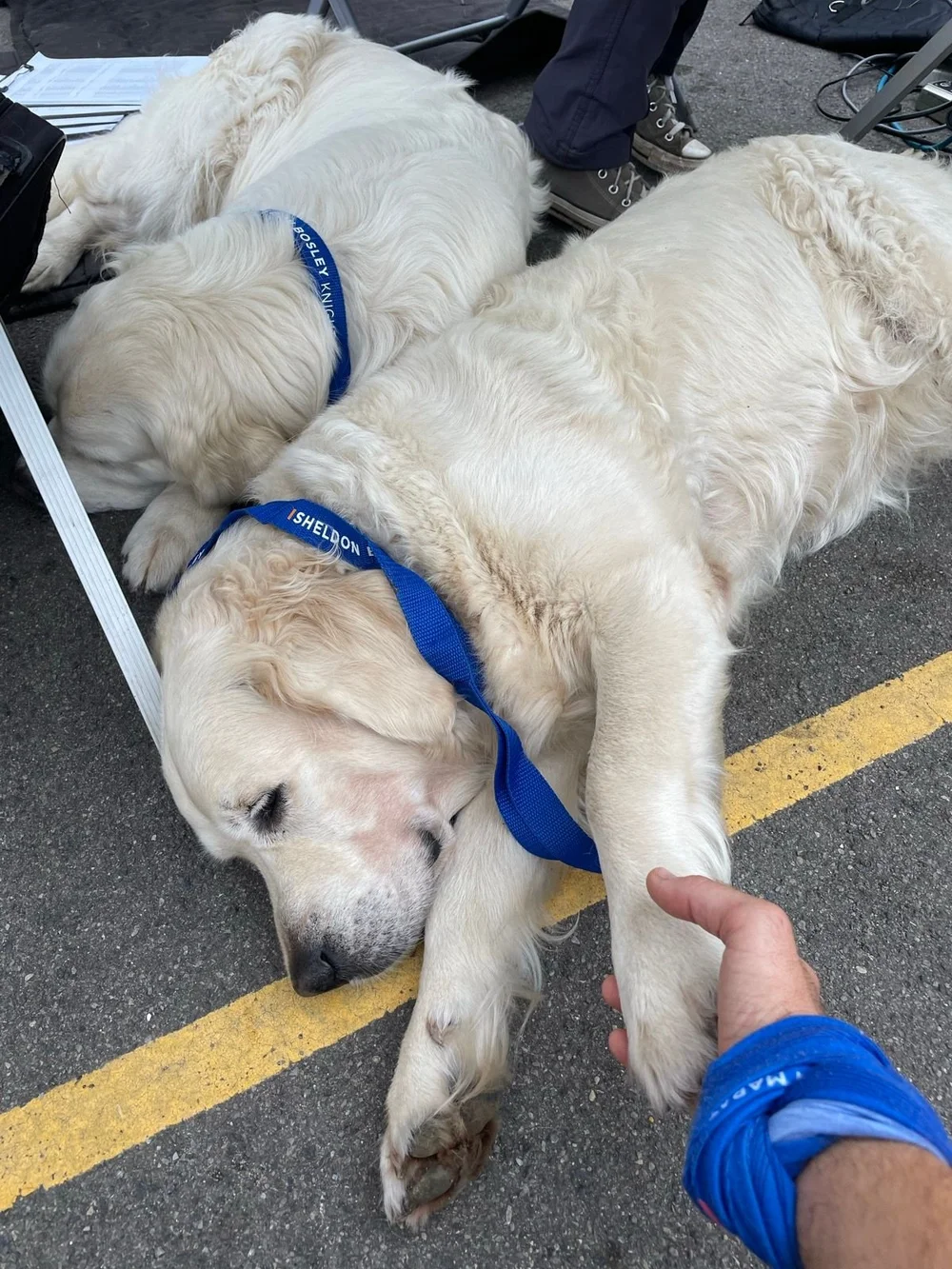Sonning Common 10K - race report — Abingdon Athletics Club