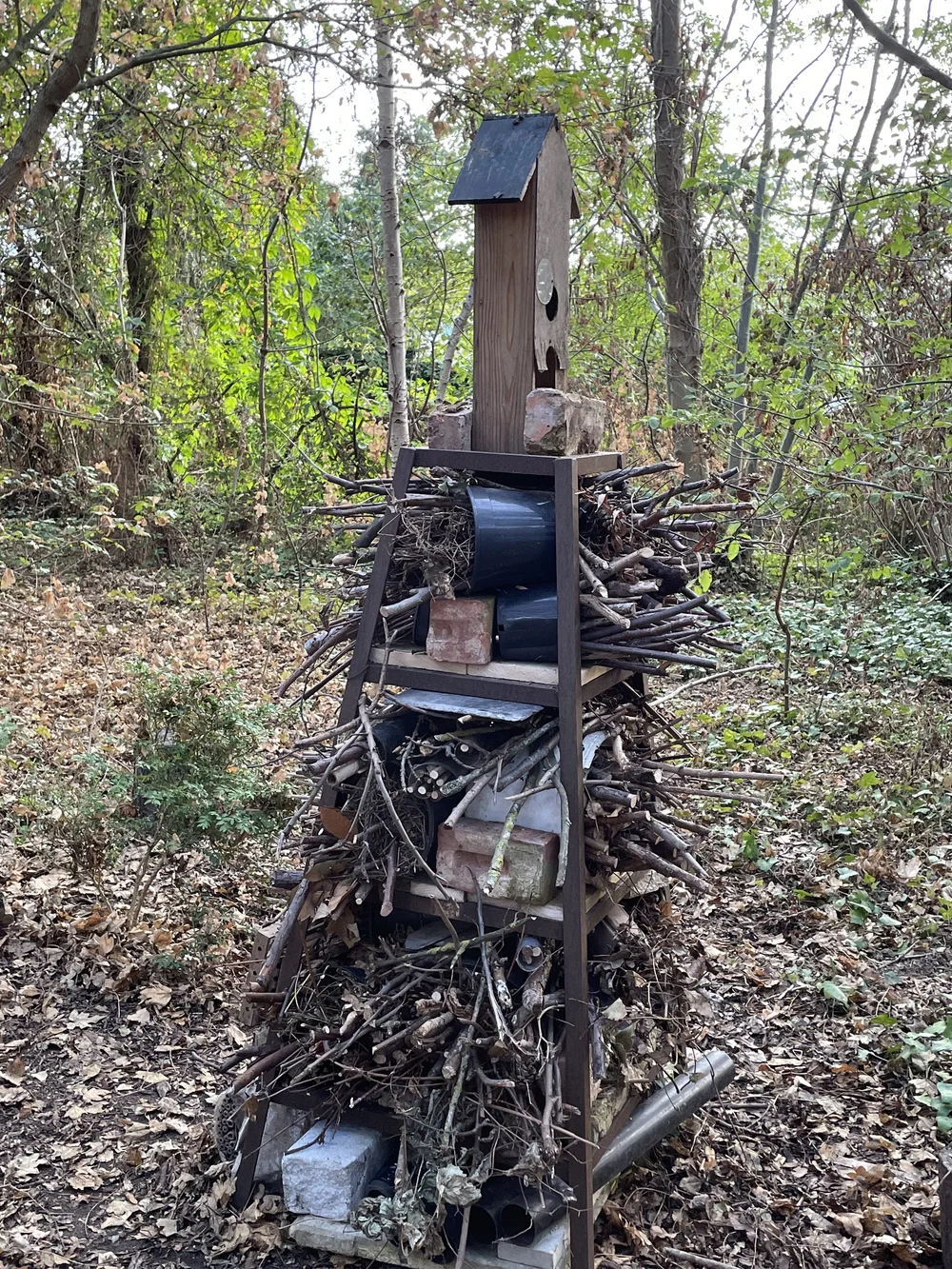 Blog 2 — Pensford Field