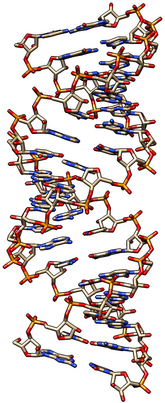 Research — Stewart Lab