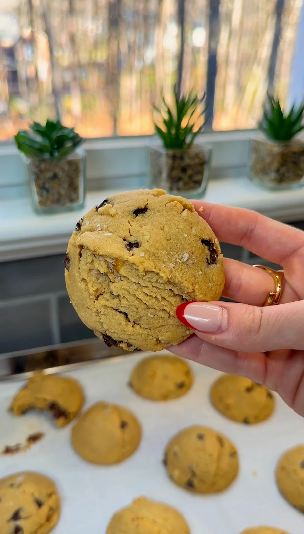 Quick & Easy Delicious Dessert Recipes