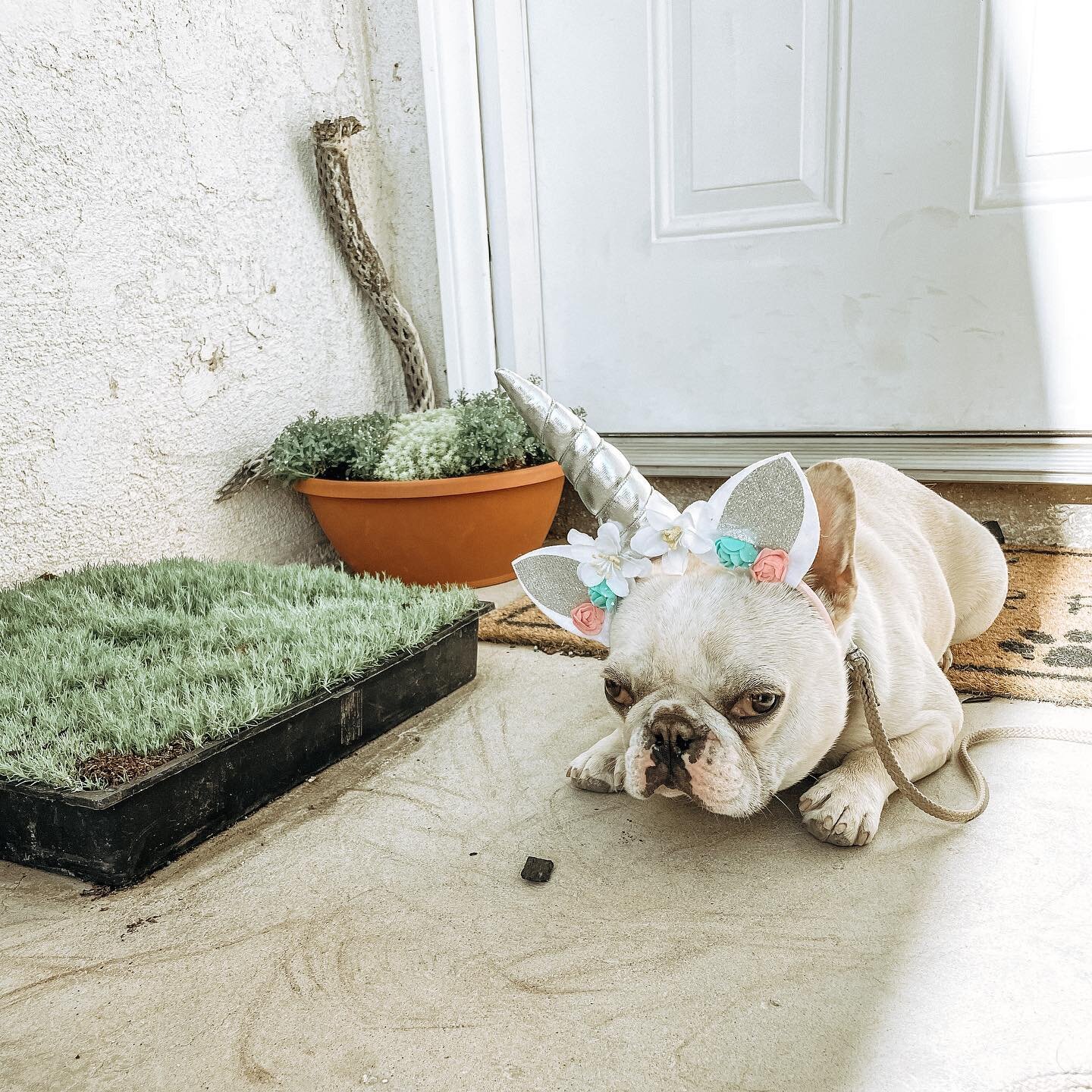 A Fetchin Good Time LLC