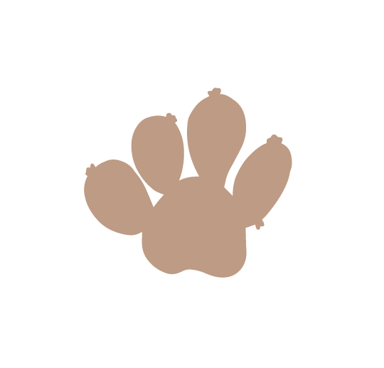 A Fetchin Good Time LLC