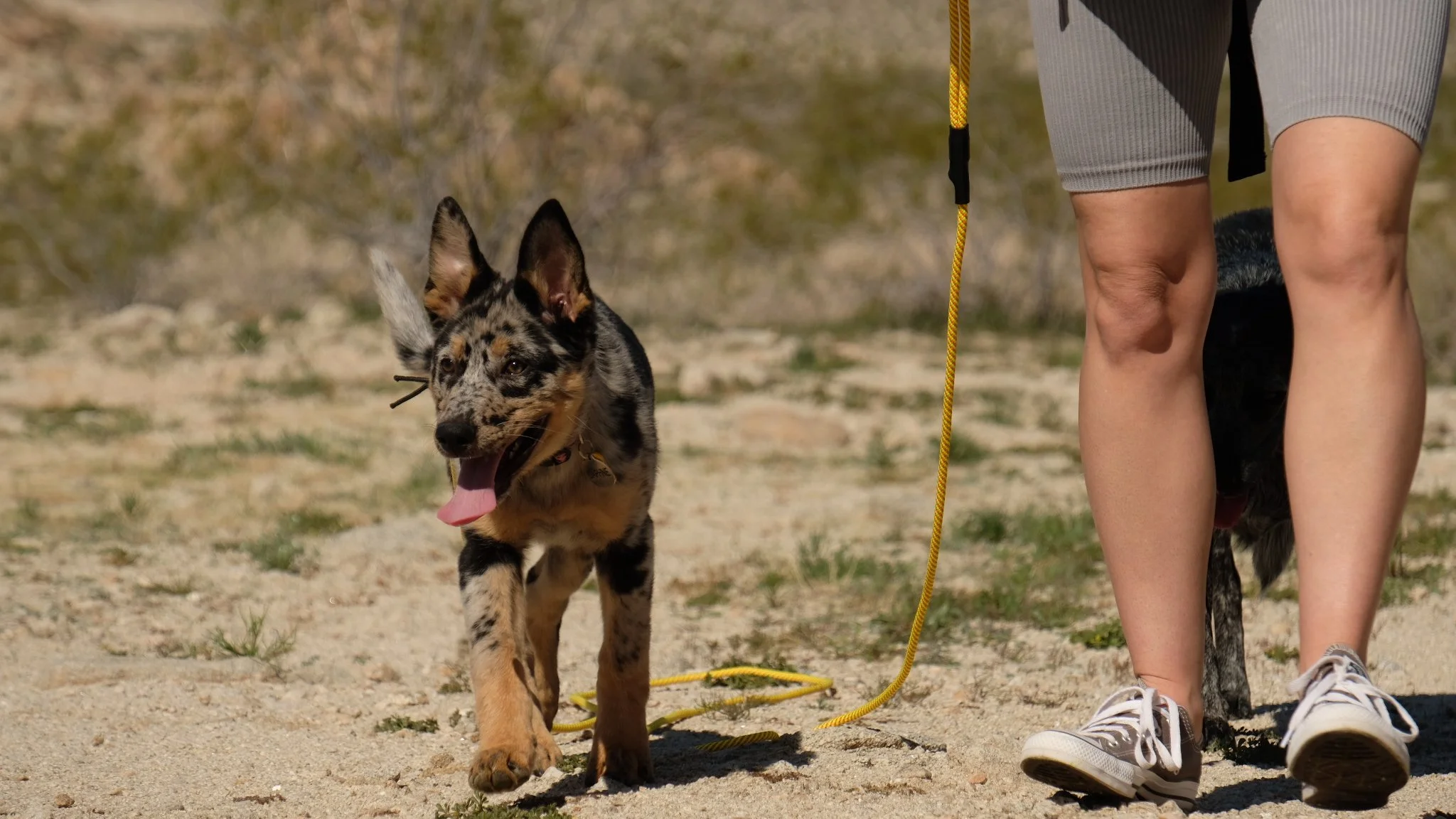 A Fetchin Good Time LLC