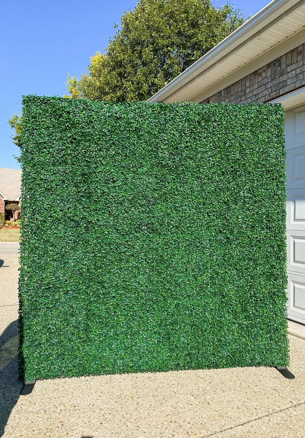 Backdrops + More — Inflate Louisville