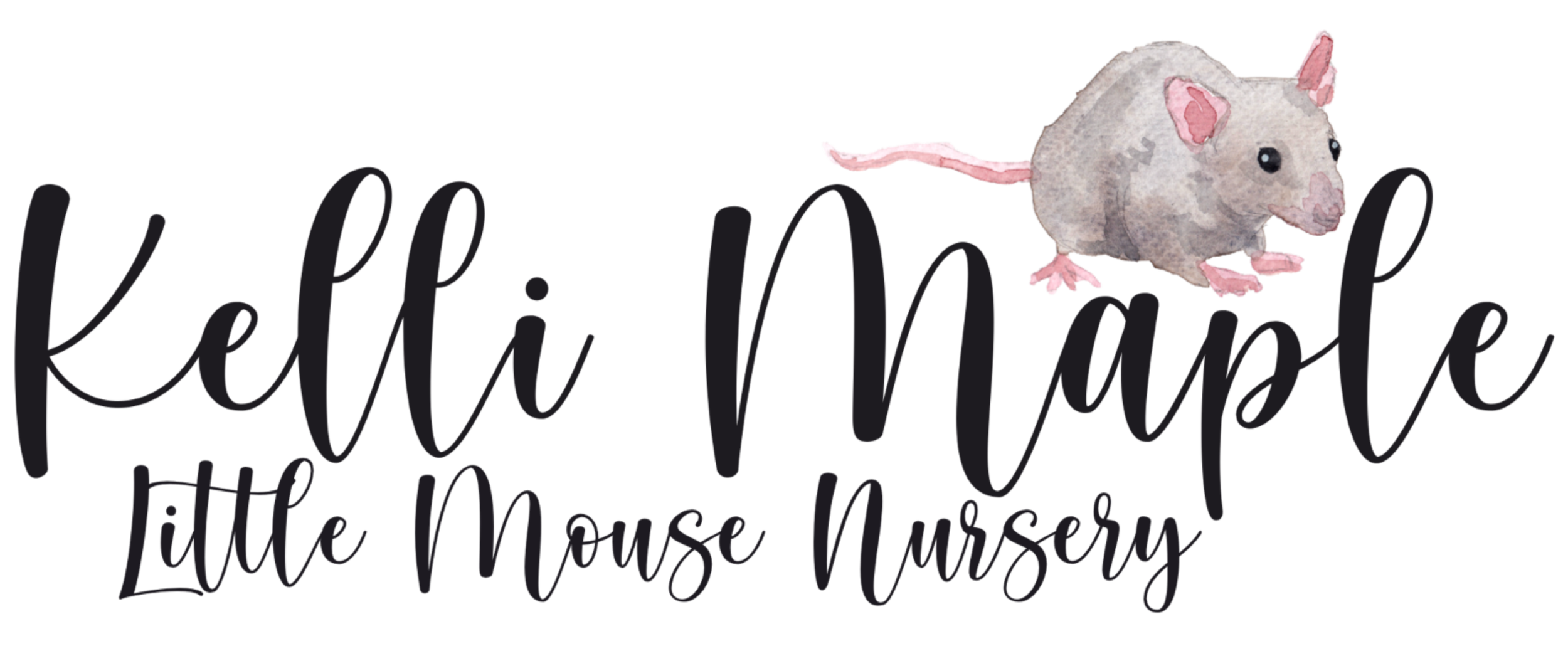 Store 2 — Little Mouse Nursery