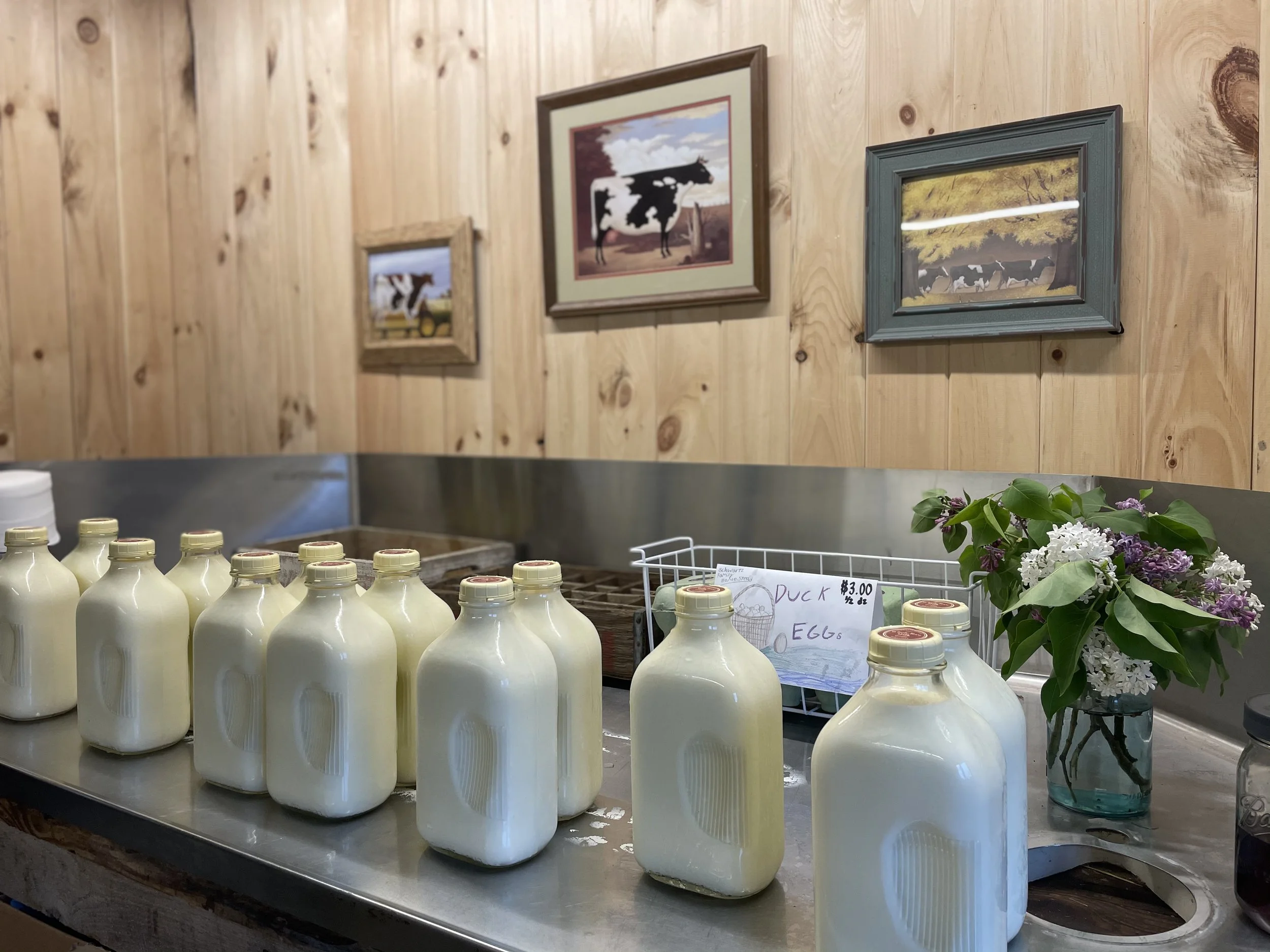 Raw Milk Herdshare in Ohio — Schwartz Family Homestead