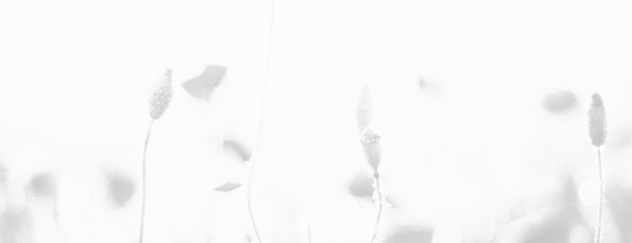 Individual Therapy — Erica Sylvia Mitchell, LCSW