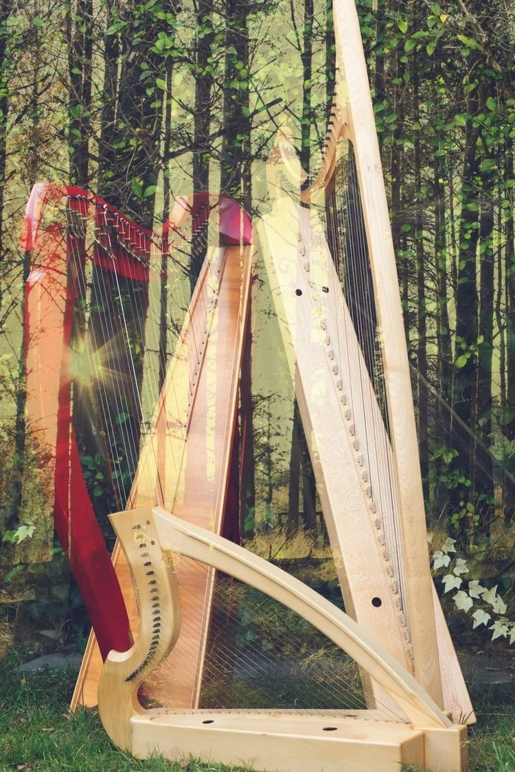 3 Scottish Harps - solo — Karen Marshalsay