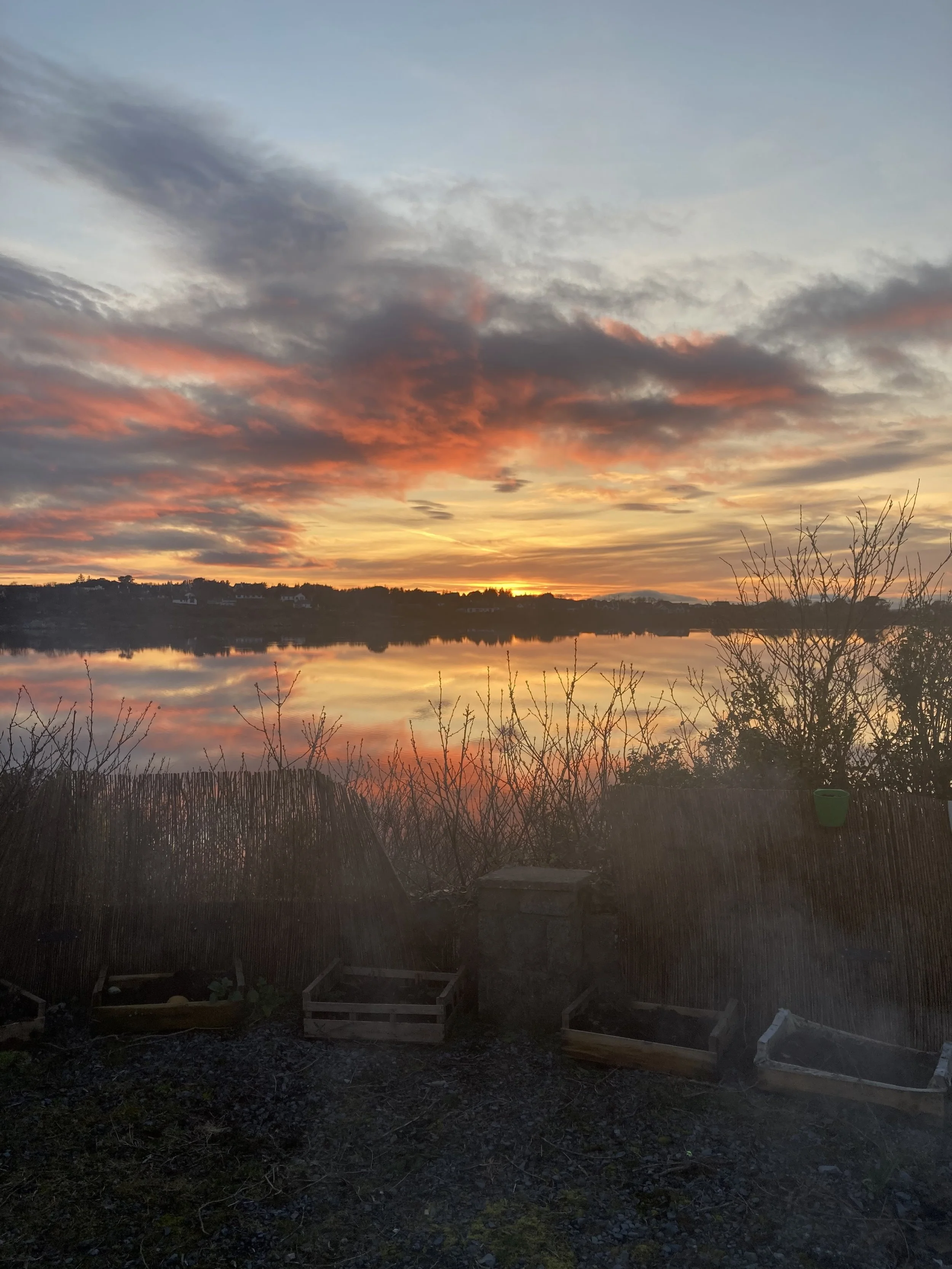 The Old Knitting Factory