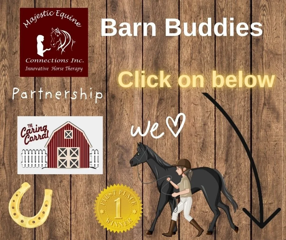 Equine Activities - Therapeutic Horsemanship — Majestic Equine ...
