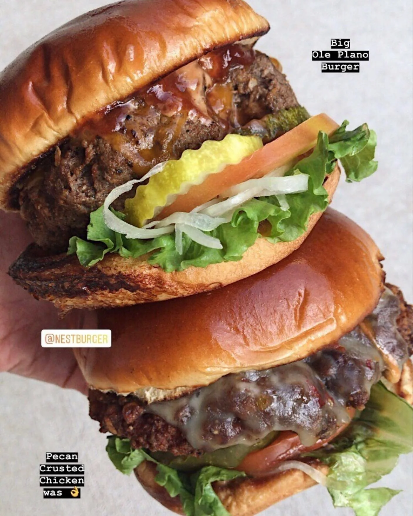 Nest Burgers