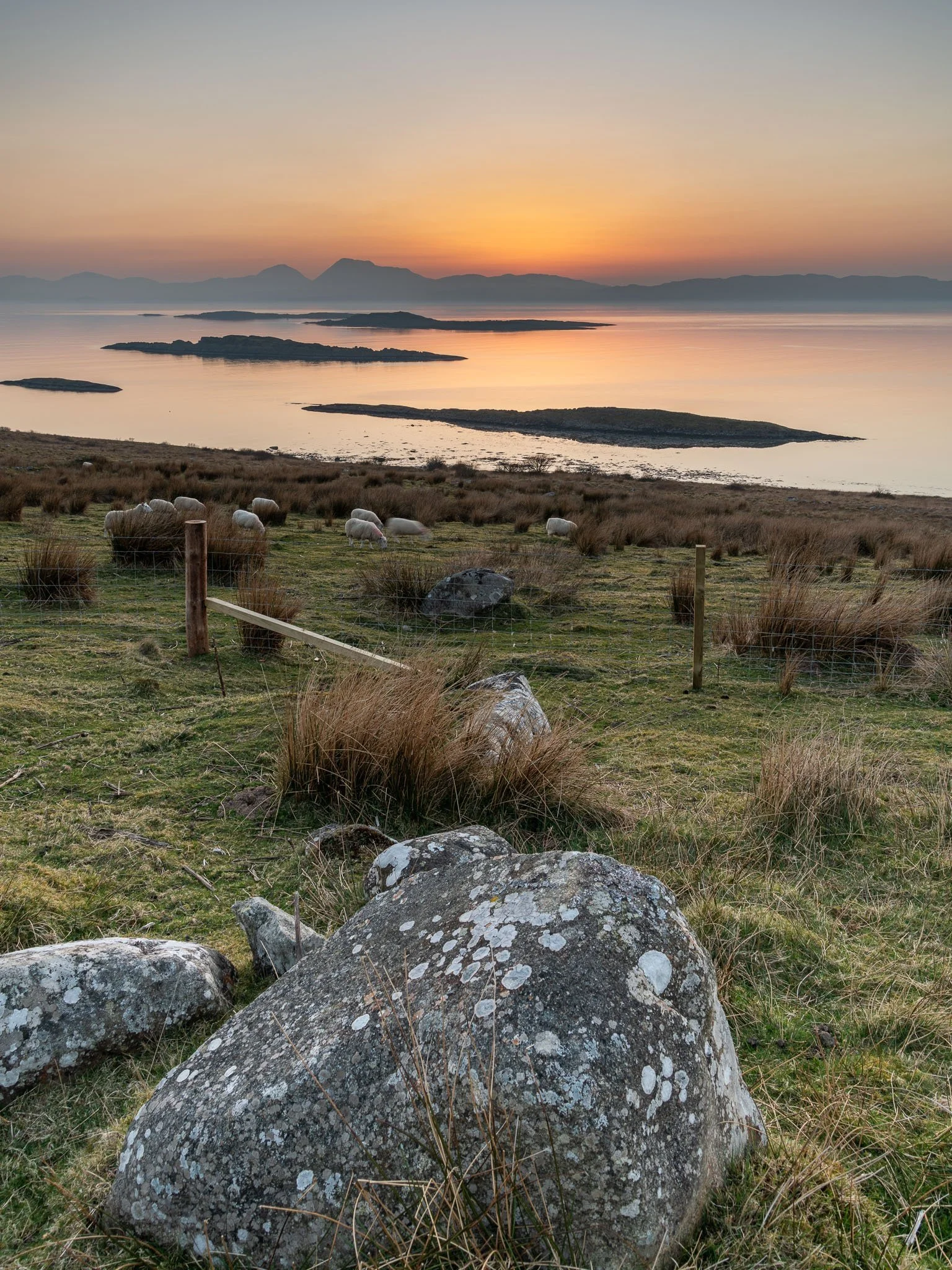 Contact — Hamish Hill Photo