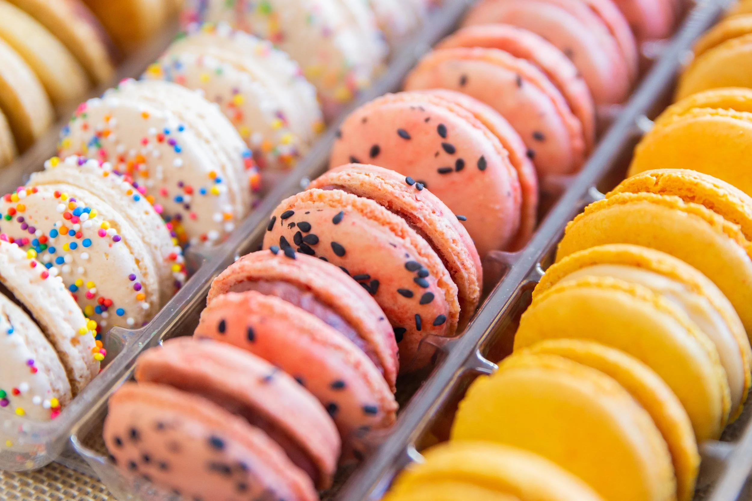 Contact Us - Order Catering — The Bearded Baker