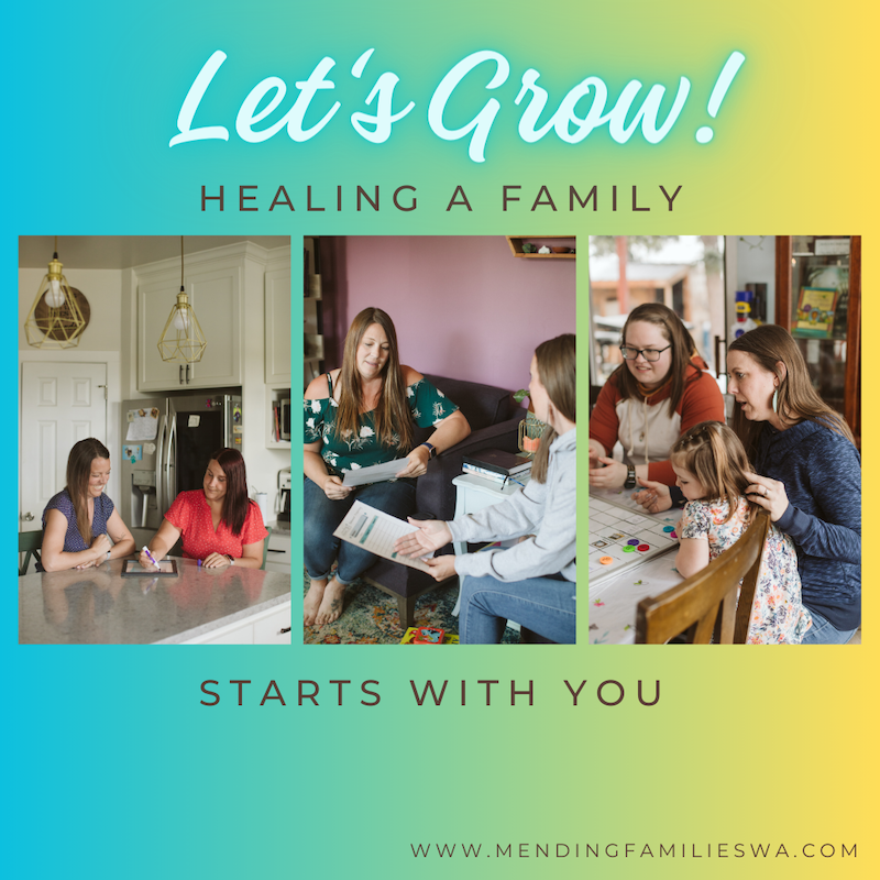 Services — Mending Families