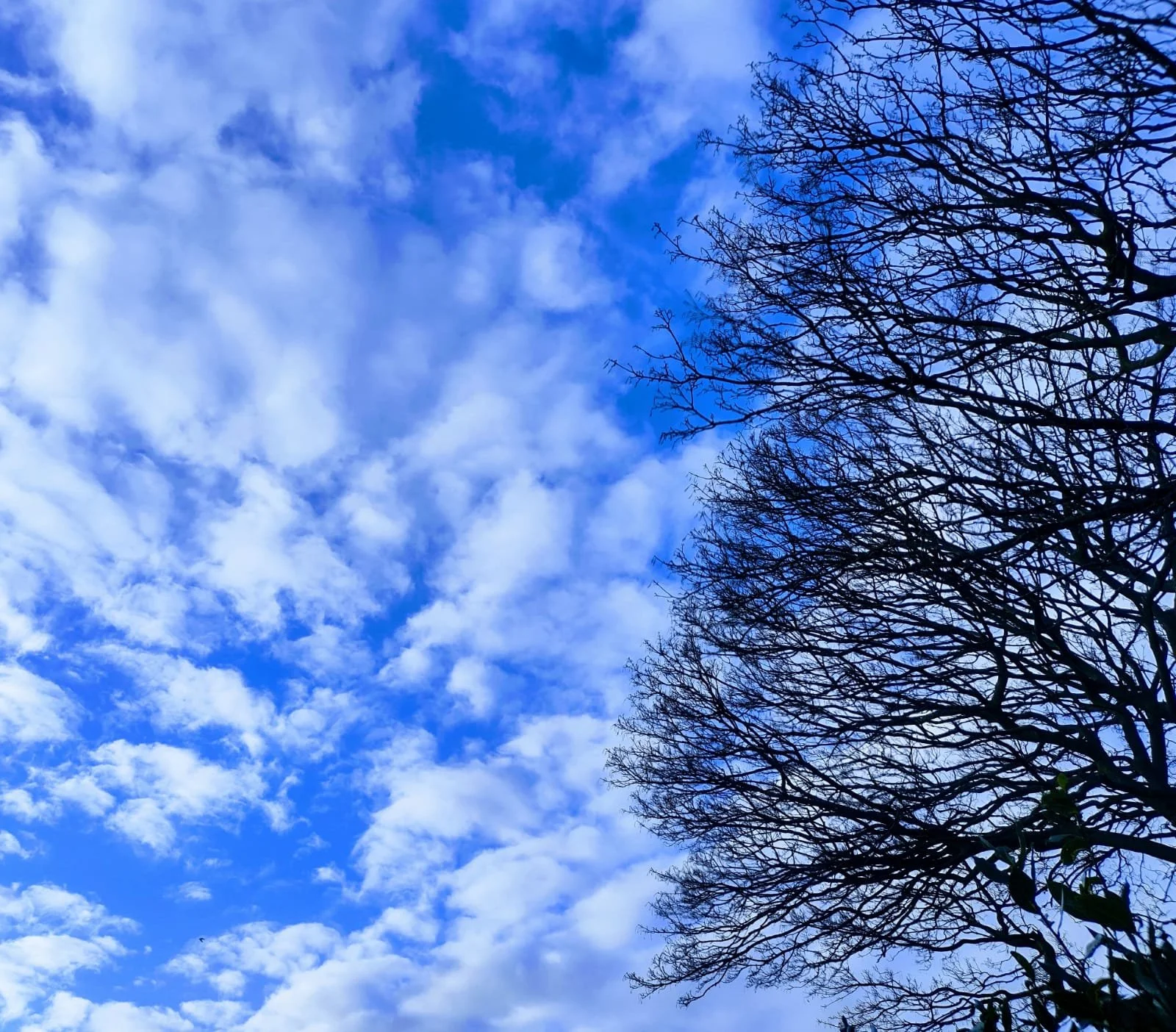 Tuesday Schedule — All FM