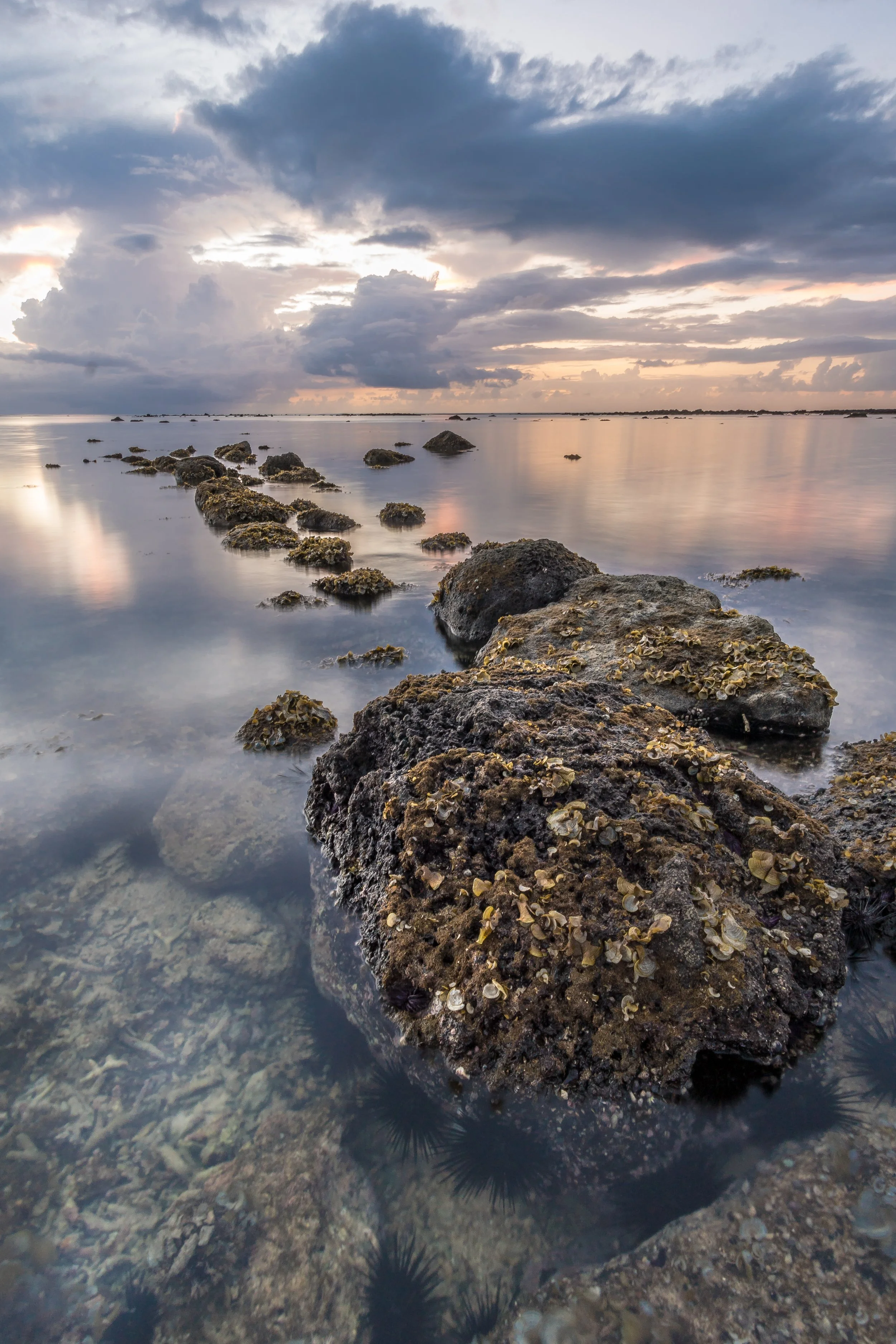 Landscape — Daniel Malinowski Pictures