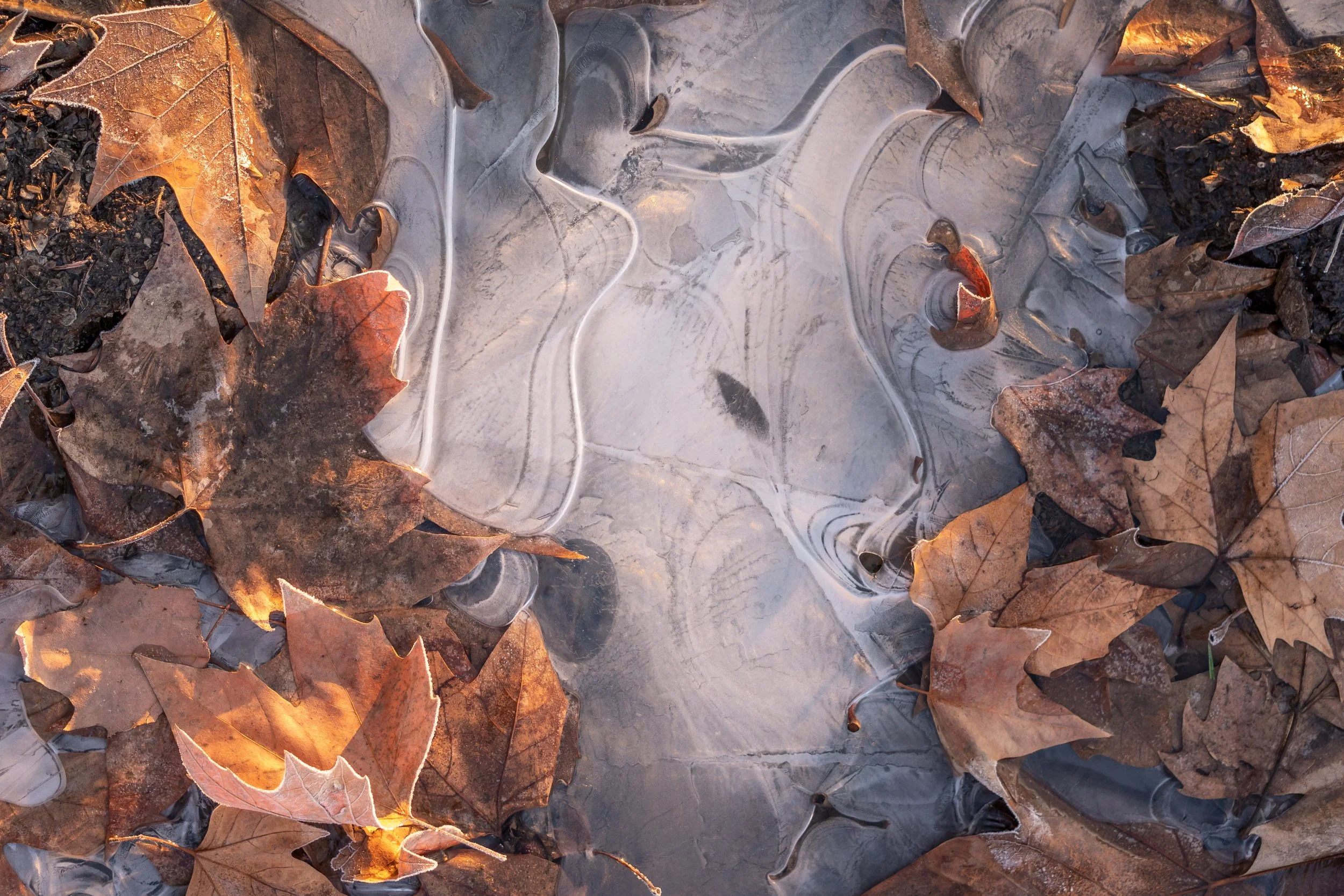 Landscape — Daniel Malinowski Pictures