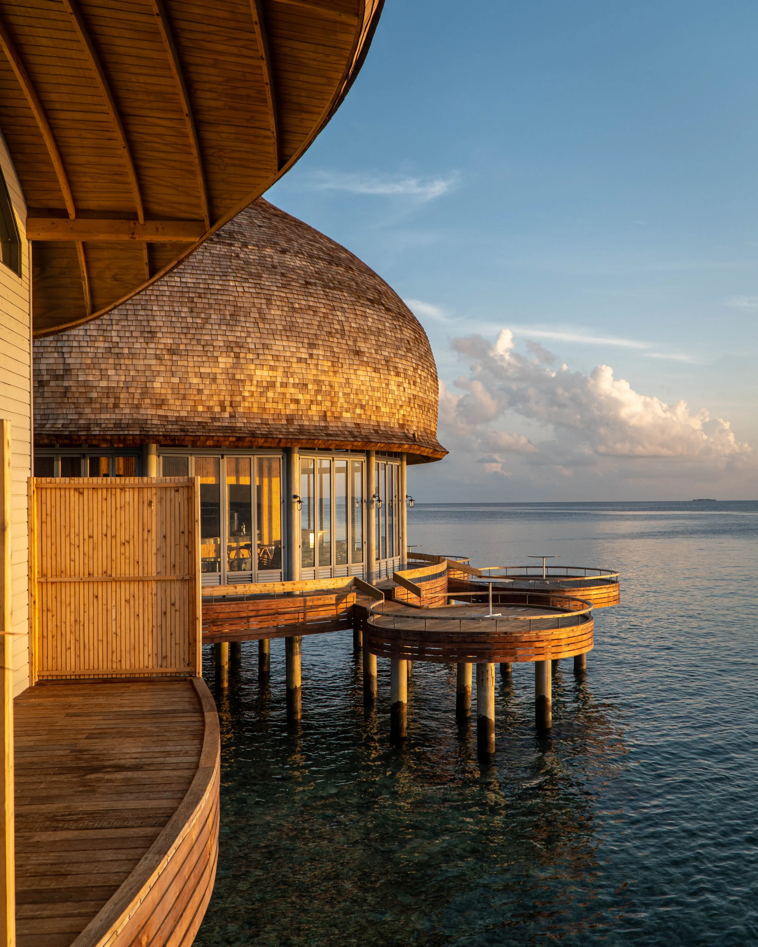 Daniel Malinowski Pictures