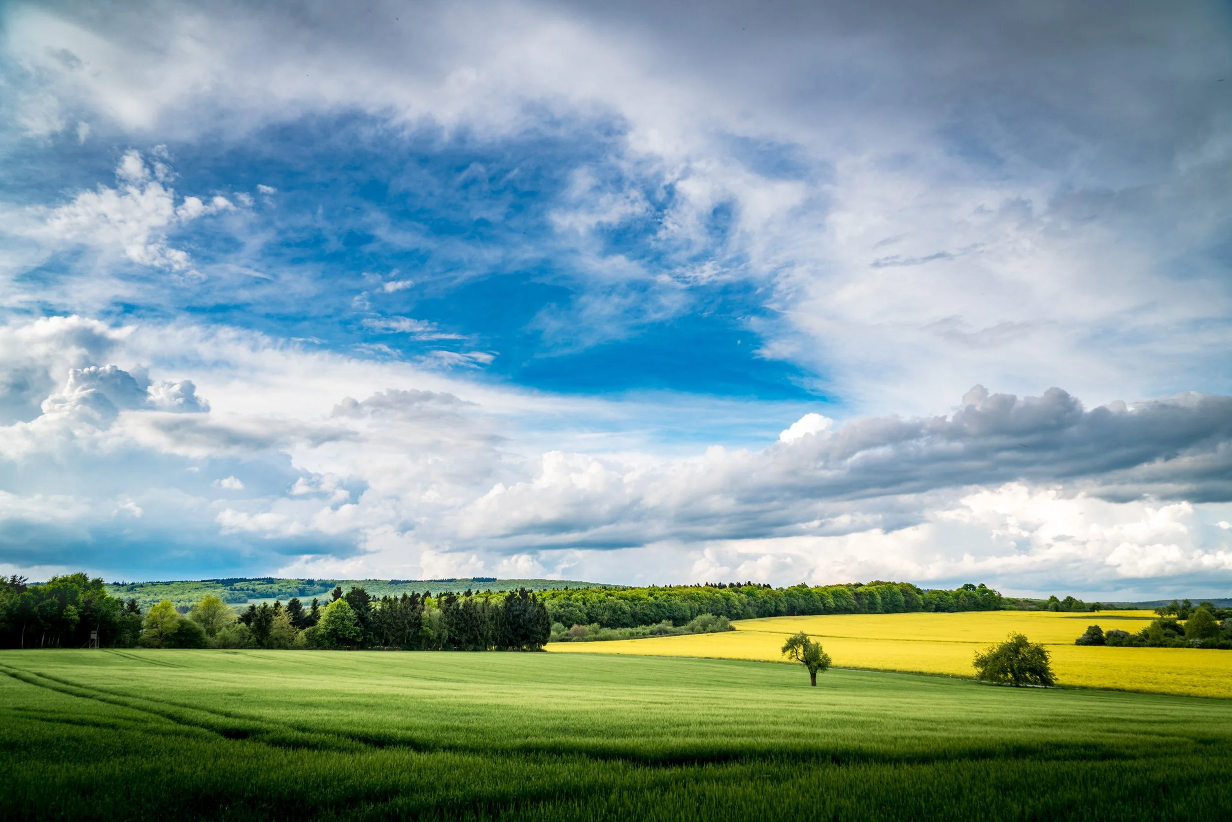 Landscape — Daniel Malinowski Pictures