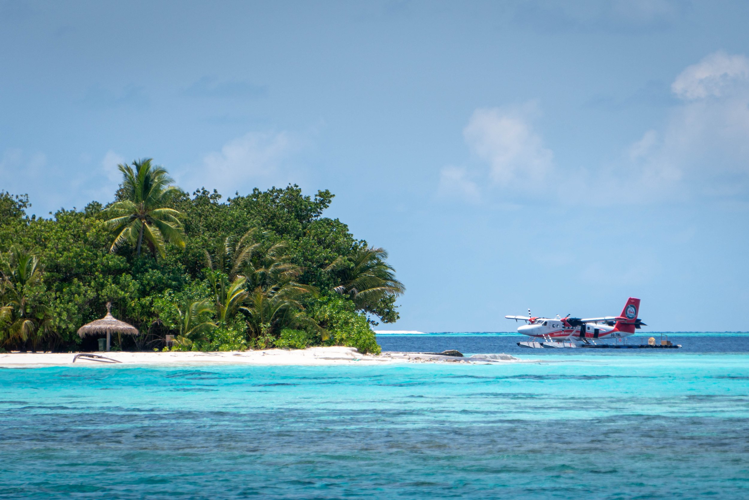 Daniel Malinowski Pictures