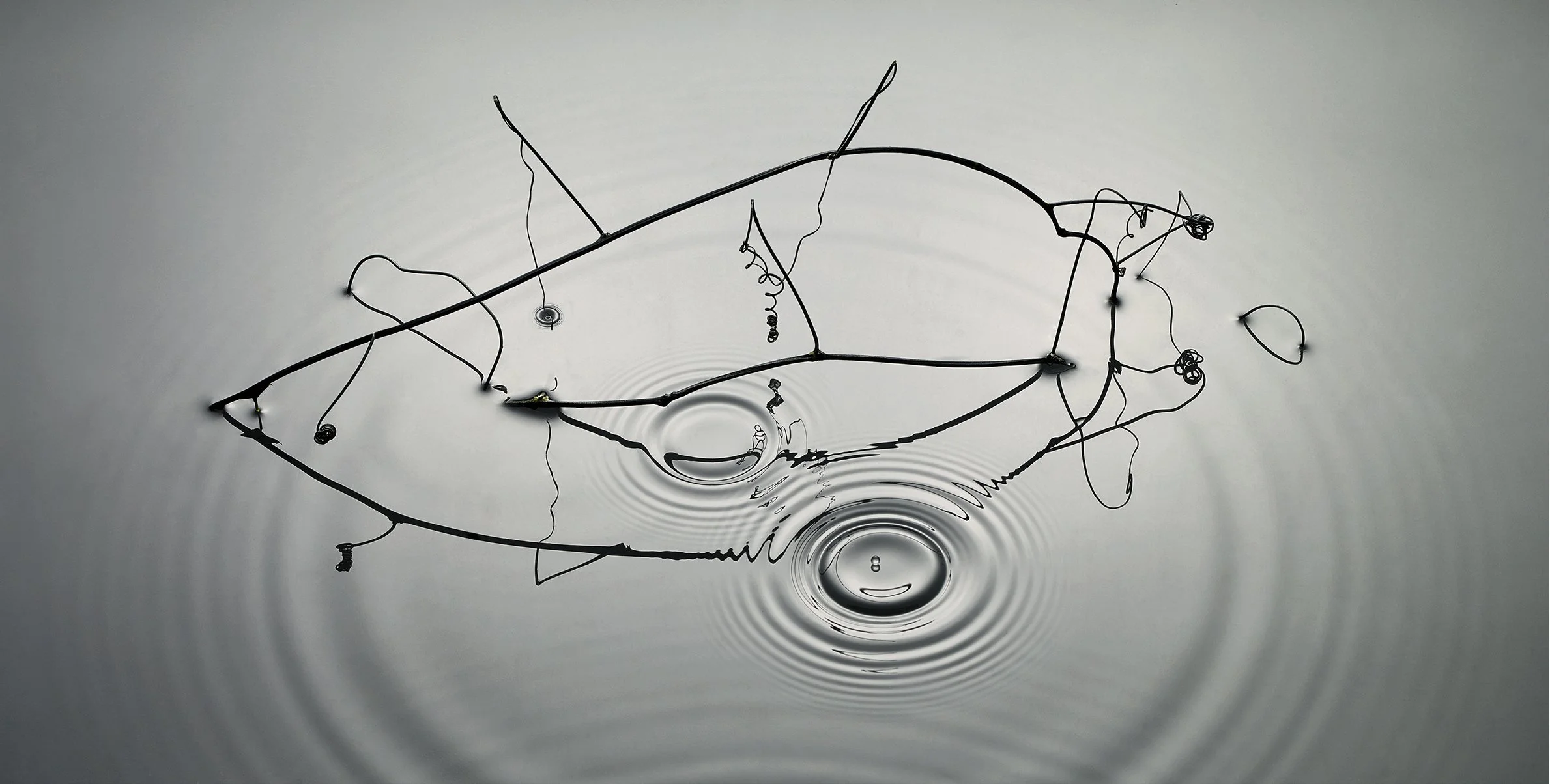 COLLECTIONS by Giles Revell | GILES REVELL GALLERY