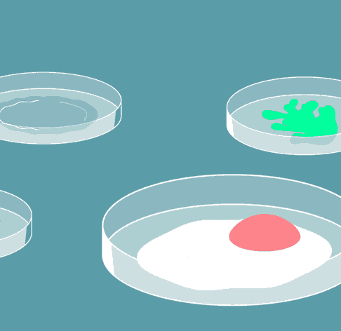 Zero Waste Europe Campaign... Noble Studio